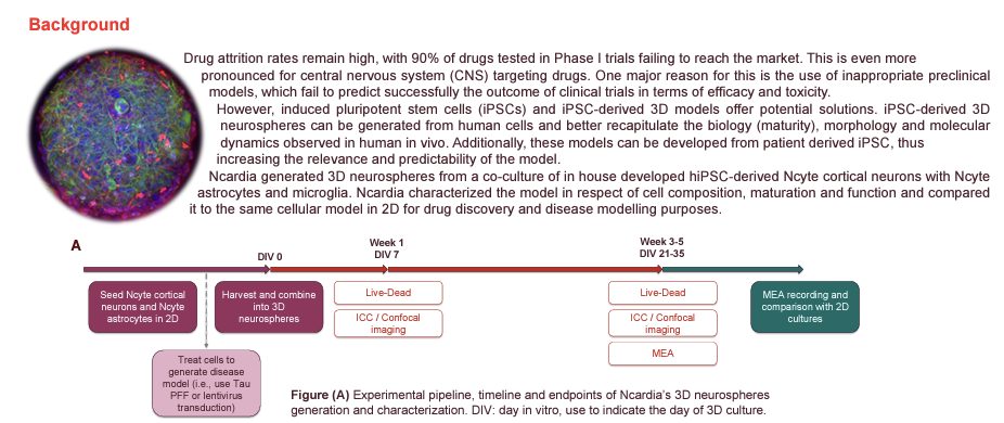 Scientific poster: Development and characterization on human iPSC-derived 3D neurospheres for ...